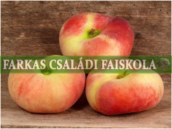 Őszibarack – Farkas Faiskola