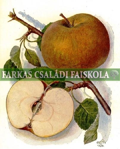 Almák – Farkas Faiskola