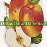 Almák – Farkas Faiskola