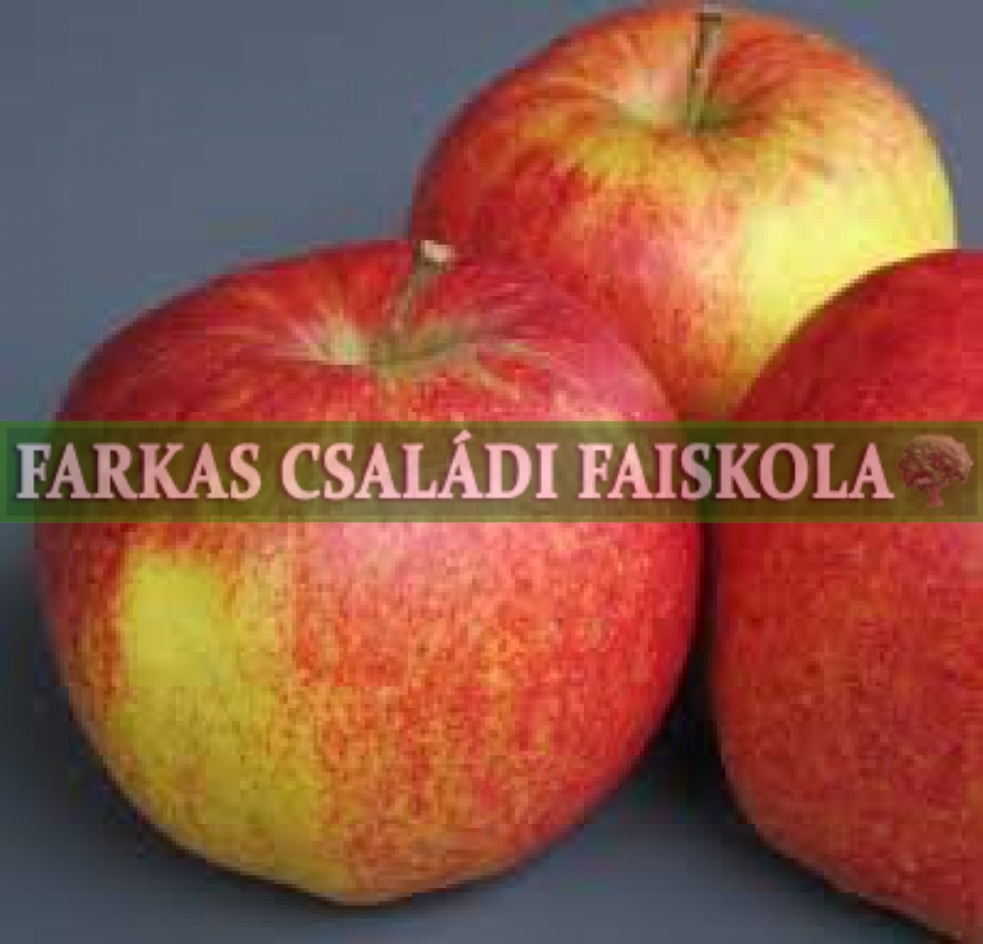 Almák – Farkas Faiskola