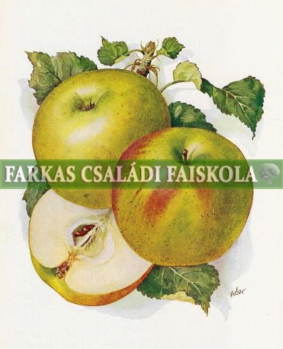 Almák – Farkas Faiskola